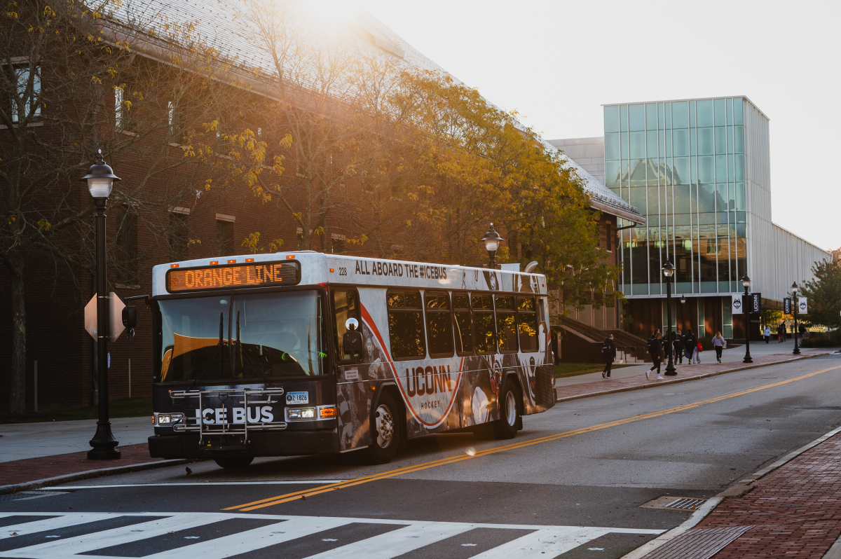 Home | UConn American English Language Institute (UCAELI)